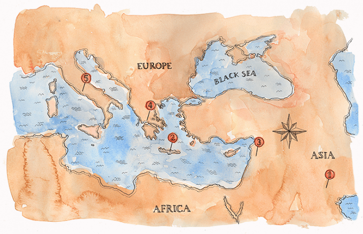 Olive Oil Origin | Bertolli Olive Oil